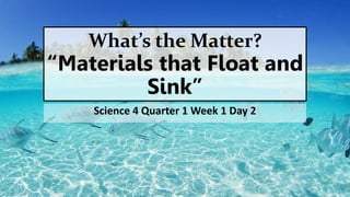 lesson 2 Float or Sink.pptx