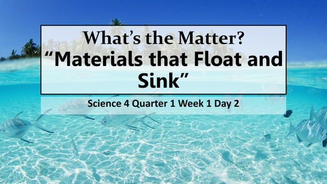 lesson 2 Float or Sink.pptx