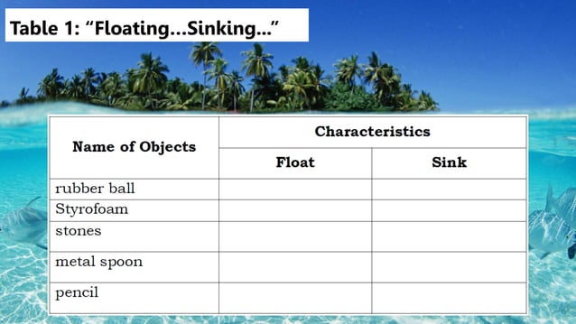 lesson 2 Float or Sink.pptx