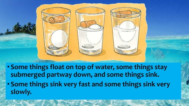 lesson 2 Float or Sink.pptx
