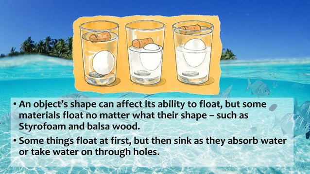 lesson 2 Float or Sink.pptx