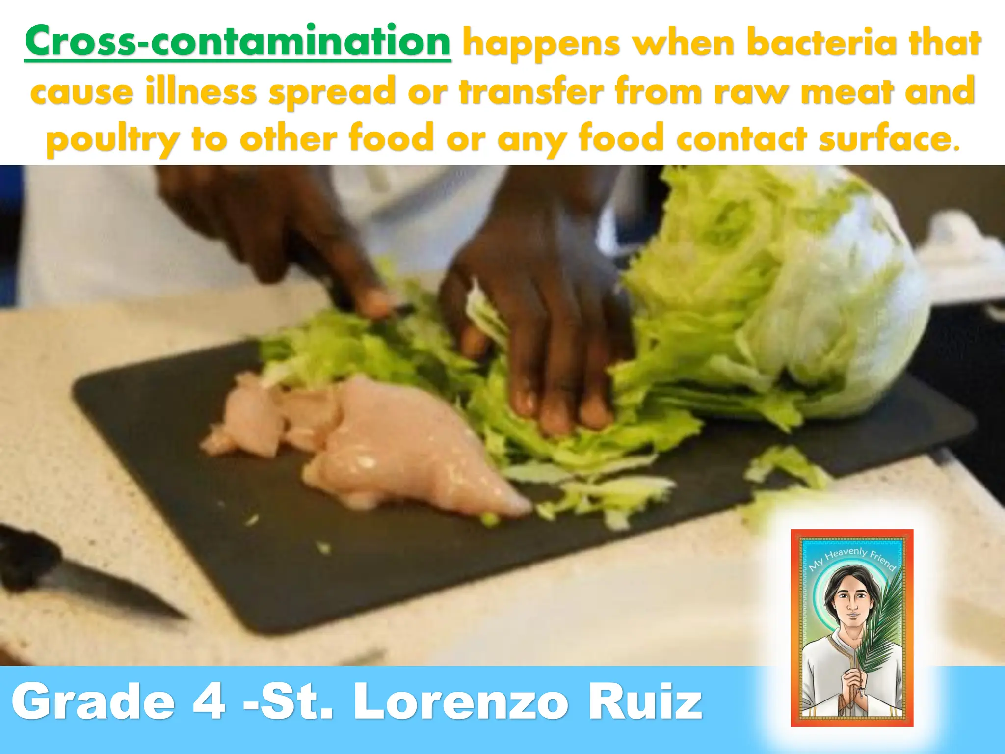 Lesson 2_Food Safety Principles, Consumer Health and Foodborne Diseases.pdf