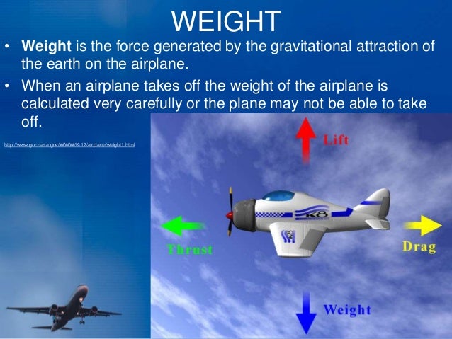 ( Lesson 2) forces of flight
