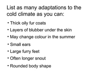 Lesson 2 gcse cold adaptations | PPT
