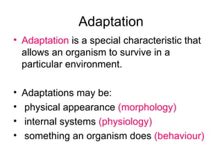 Lesson 2 gcse cold adaptations | PPT