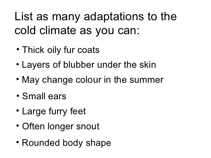 Lesson 2 gcse cold adaptations