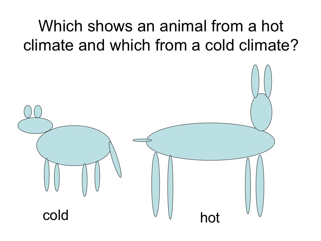 Lesson 2 gcse cold adaptations