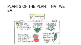 Lesson 2 how do plant parts help plants | PPTX