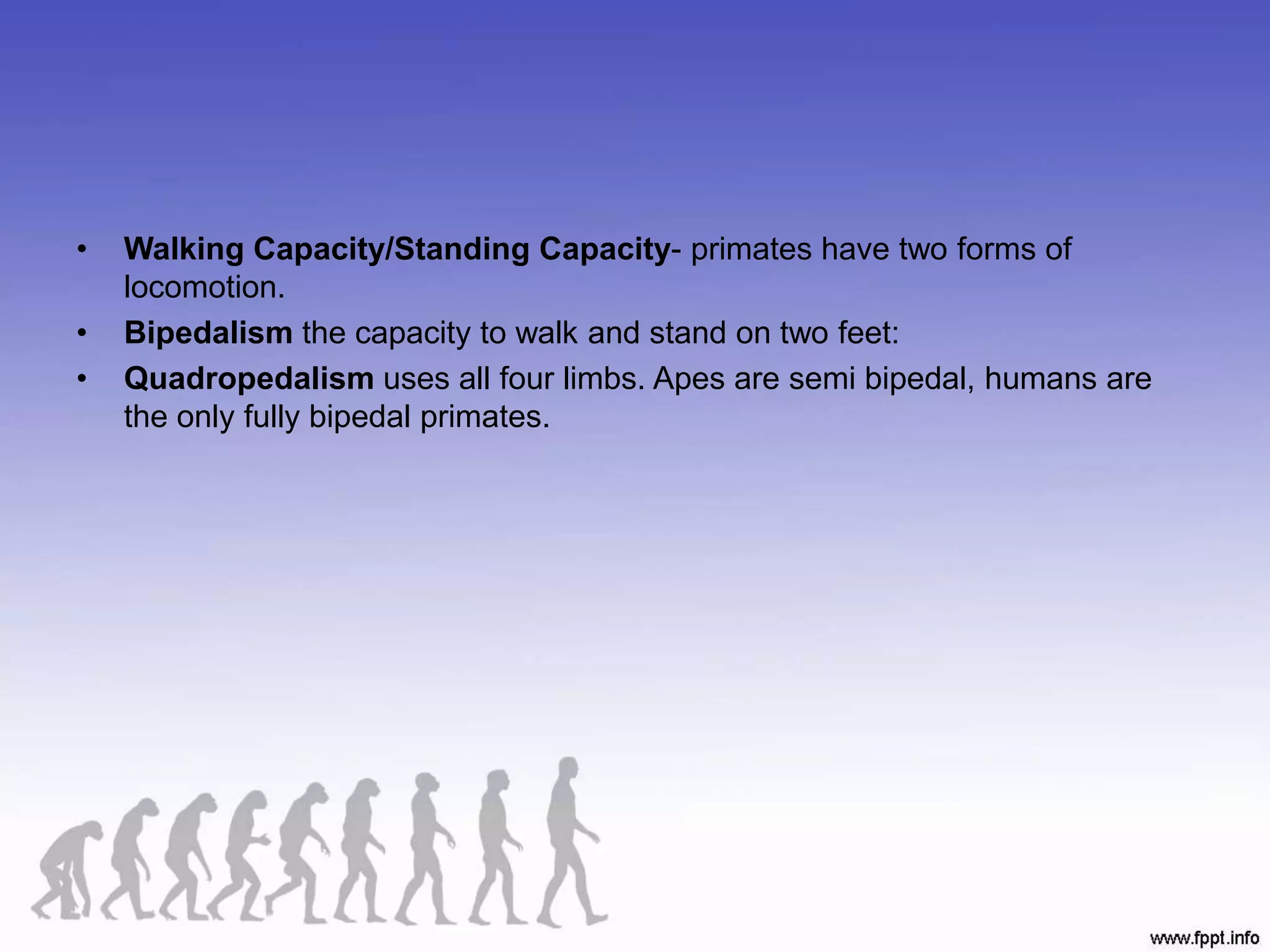 LESSON 2 HUMAN EVOLUTION.pptx