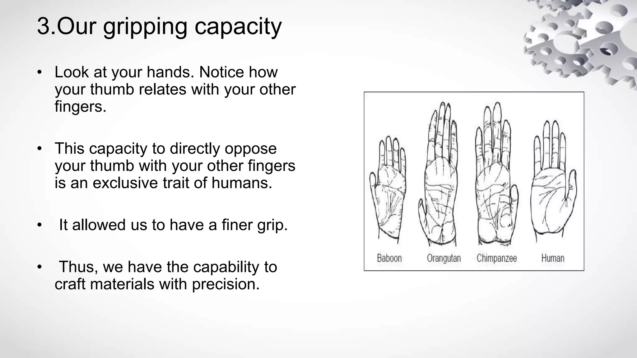 Lesson 2 HUMAN EVOLUTION AND CULTURE.pptx