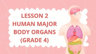 LESSON 2 HUMAN MAJOR BODY ORGANS (GRADE 4) [Autosaved].pptx