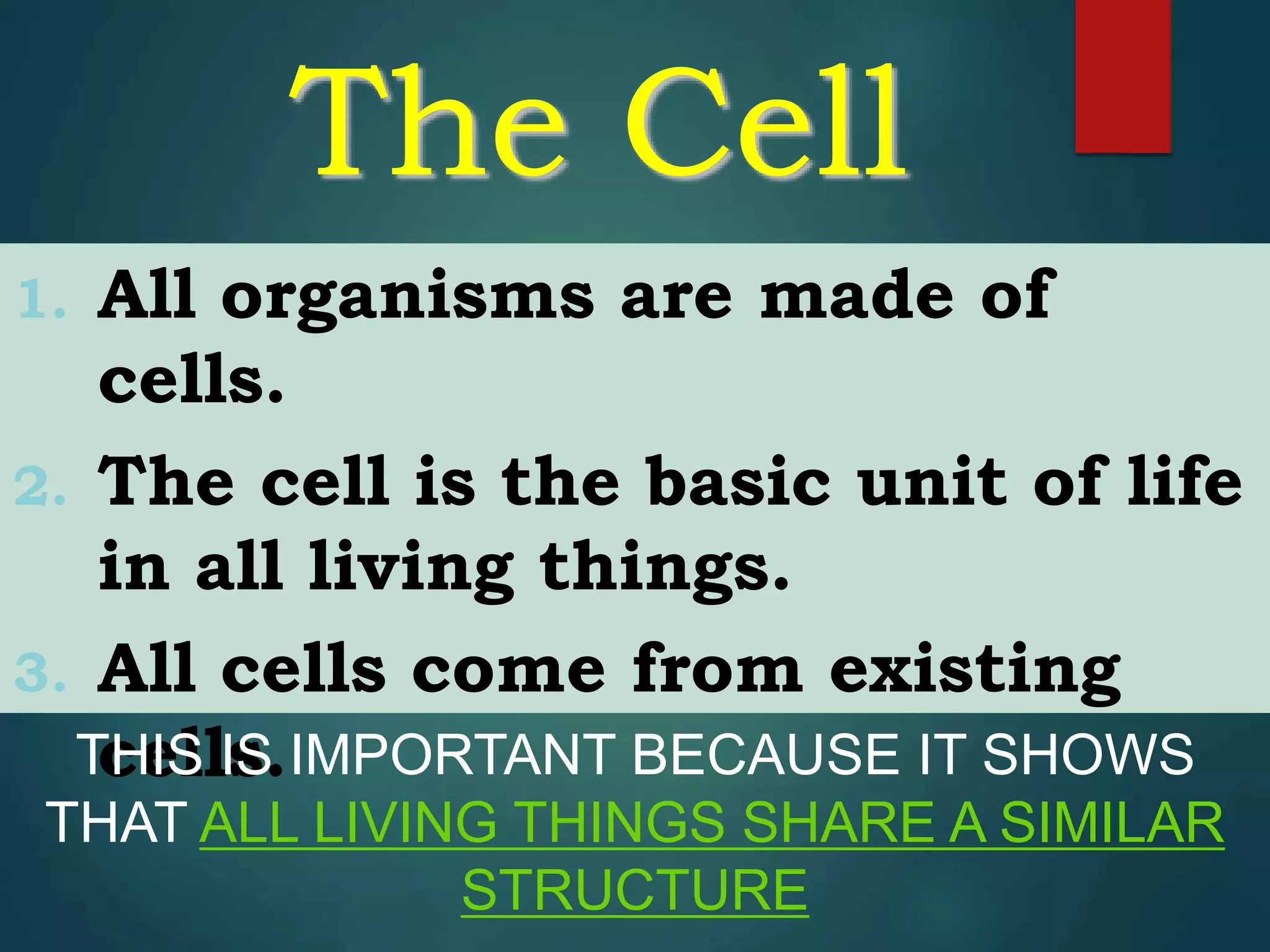 LESSON 2_LEVELS OF ORGANIZATION IN ANIMAL COMPLEXITY_2.ppt