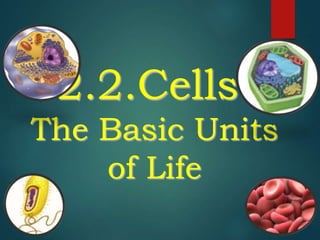 LESSON 2_LEVELS OF ORGANIZATION IN ANIMAL COMPLEXITY_2.ppt