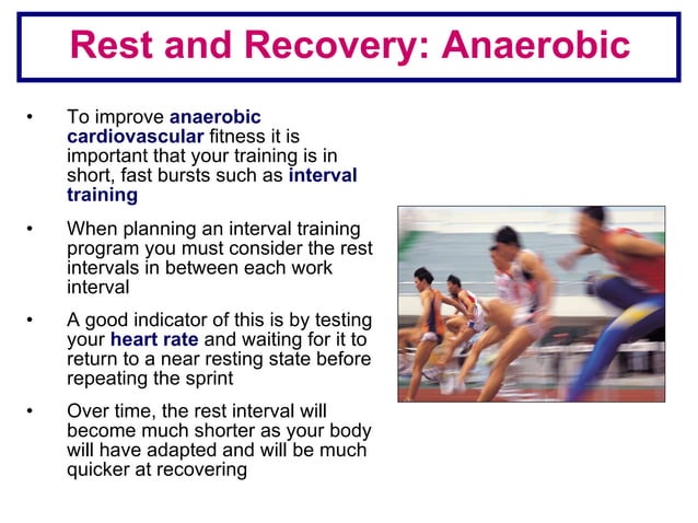 Lesson 2 long term effects of exercise | PPT | Heart and Cardiovascular ...