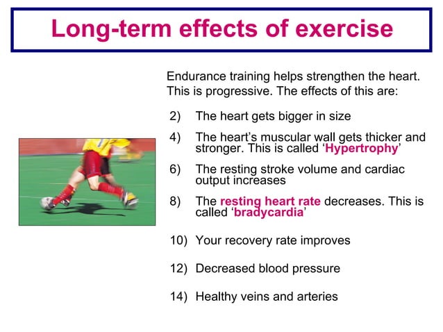 Lesson 2 long term effects of exercise | PPT | Heart and Cardiovascular ...