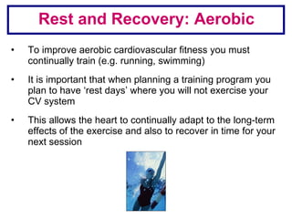 Lesson 2 long term effects of exercise | PPT