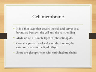 Lesson 2 main parts of a cell 2014 15 | PPTX