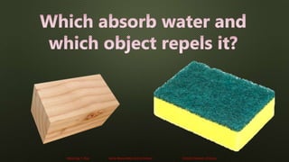 Lesson 2 materials that absorb water | PPTX