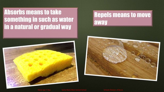 Lesson 2 materials that absorb water | PPT | Free Download
