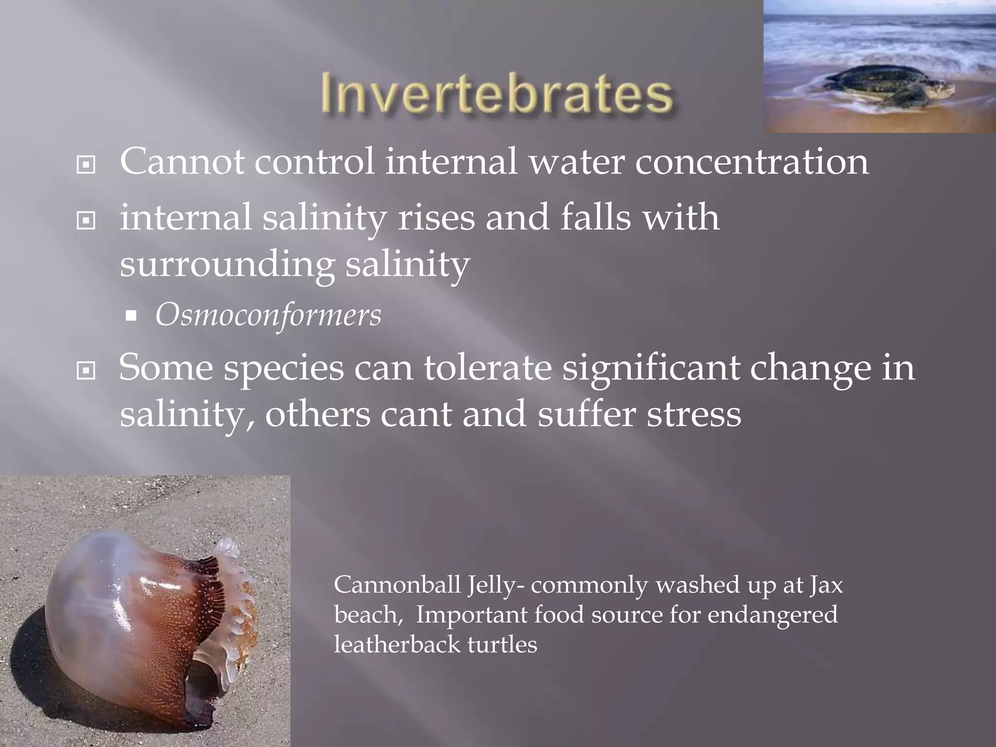 Lesson 2 osmosis and diffusion in the marine environment | PPTX
