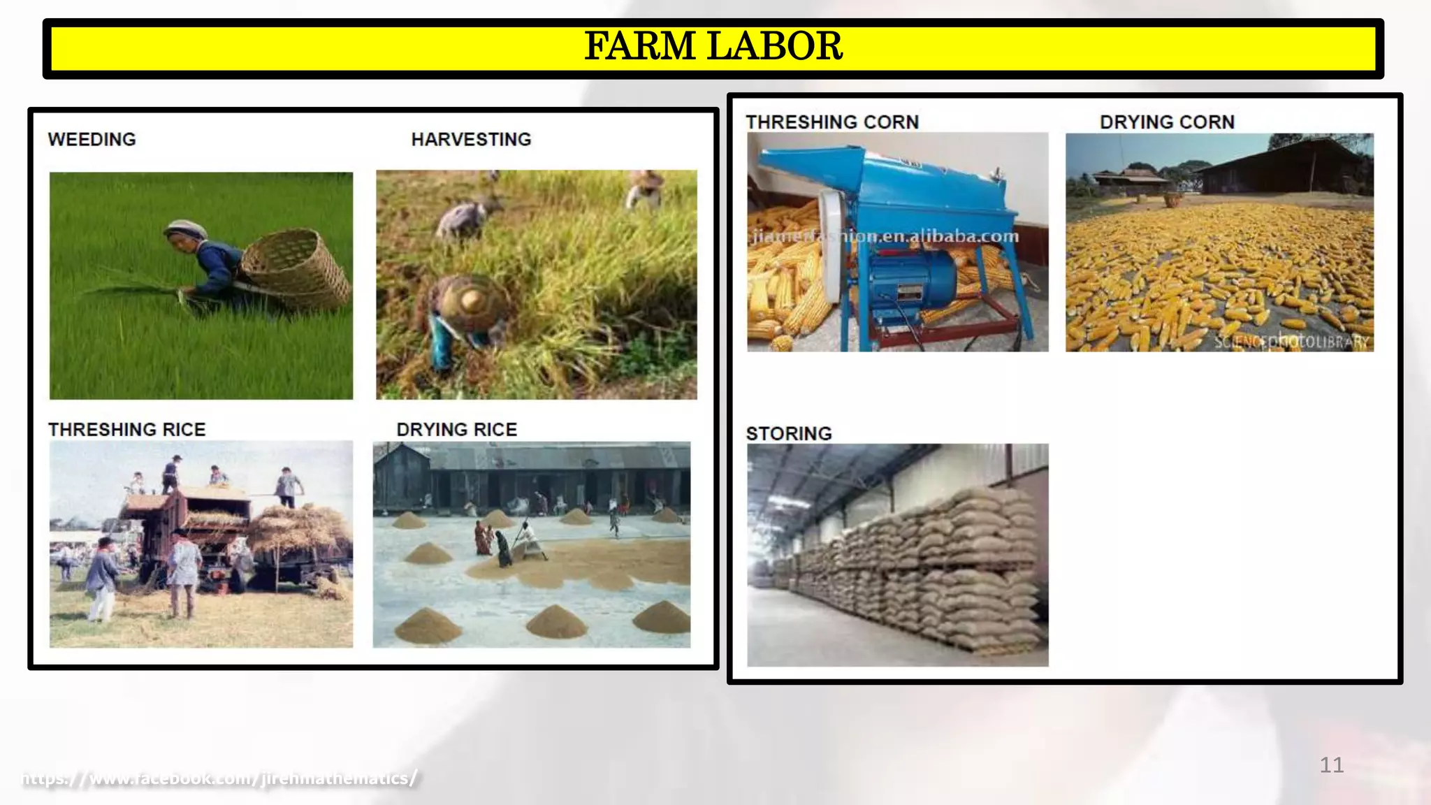 Agri-Crop Production - Lesson 2 perform estimation and basic ...