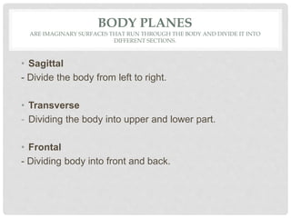 LESSON 2 PHYSICAL FITNESS PATHFIT I.pptx