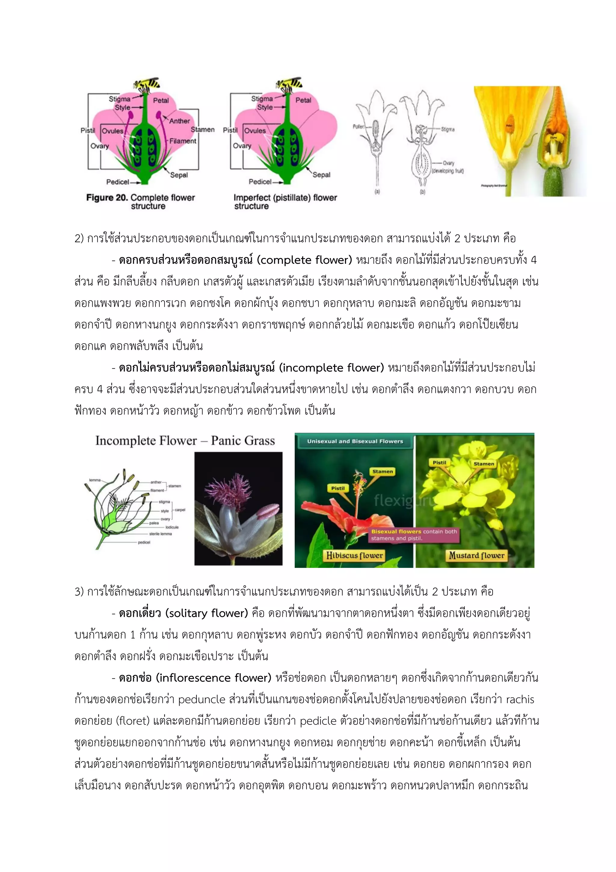 Lesson2 plantrepro2 | PDF