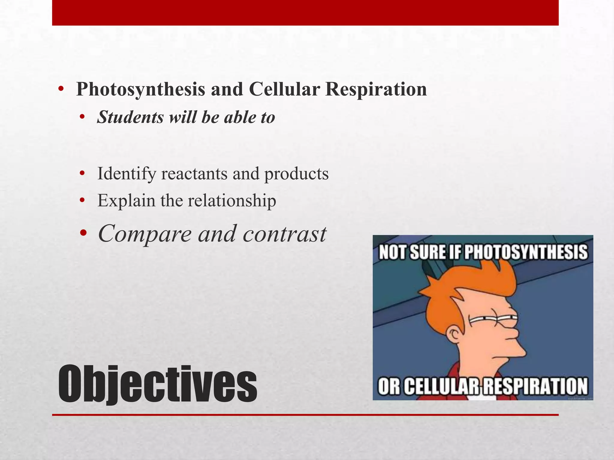 Photosynthesis and Cell Respiration (Brief Overview) | PPTX