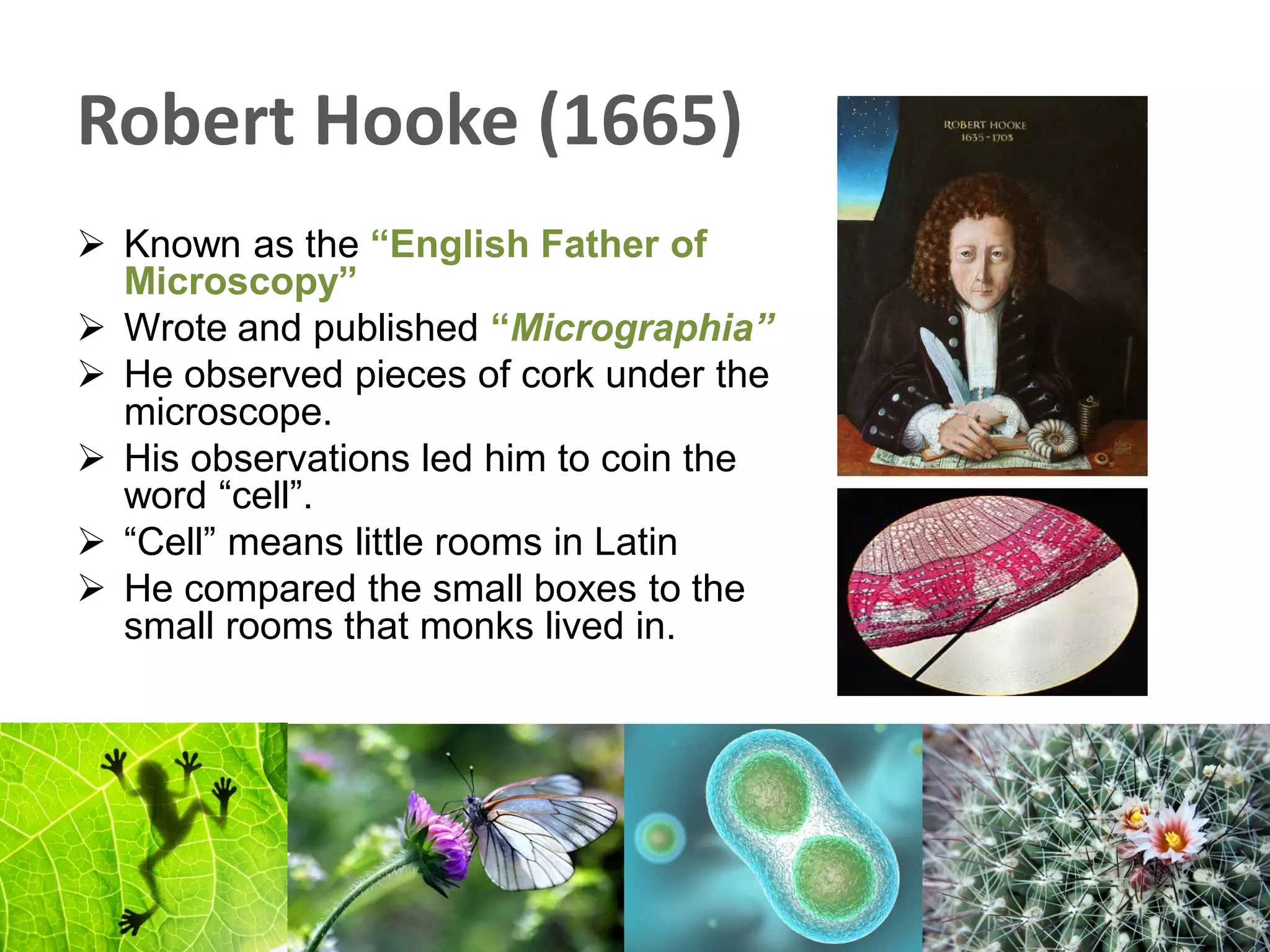 Lesson 2 The Cell | PDF