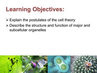 Lesson 2 The Cell | PDF