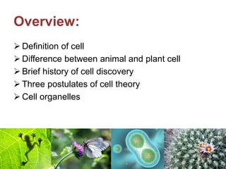 Lesson 2 The Cell | PDF