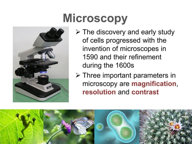 Lesson 2 The Cell | PDF | Biological Sciences | Science