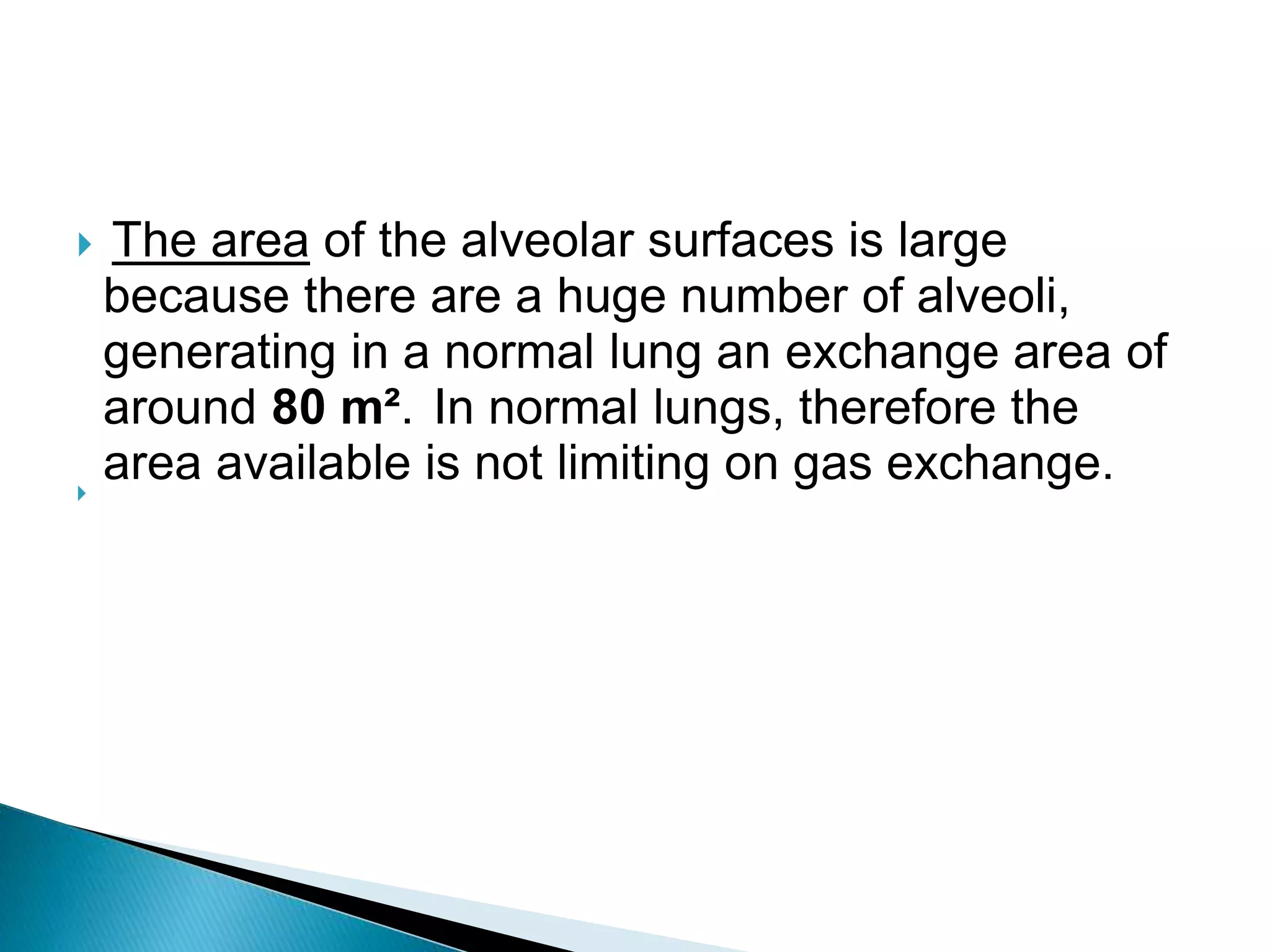 Lesson 2 ventilation and gas exchange | PPTX