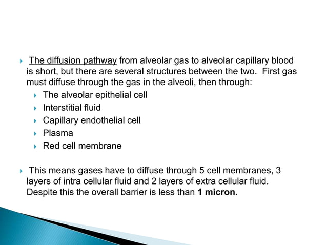 Lesson 2 ventilation and gas exchange | PPTX | Lung and Respiratory ...