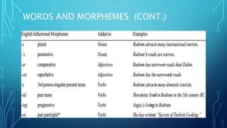Lesson 2_ words_morphemes_word formation.pptx