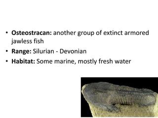 The Origin of Vertebrates | PDF