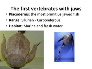 First Vertebrates