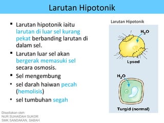 Lesson 3.2 | PPT