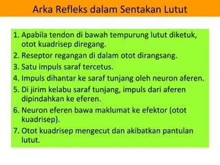 Lesson 3.2 part 3 | PPT