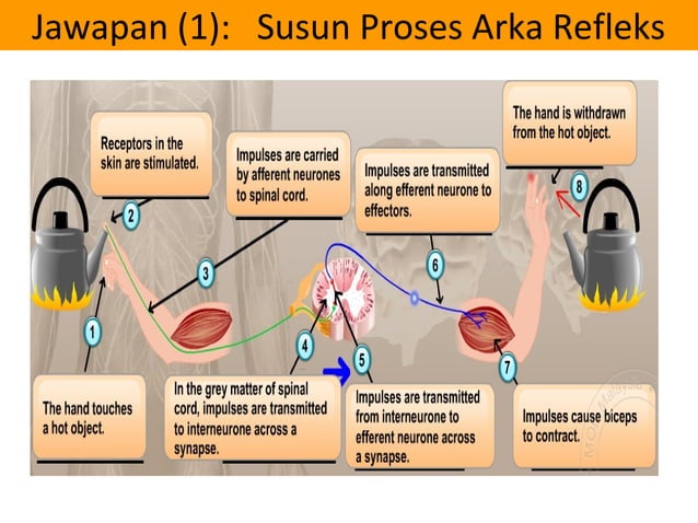 Lesson 3.2 part 3 | PPT