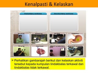 Lesson 3.2 part 3 | PPT