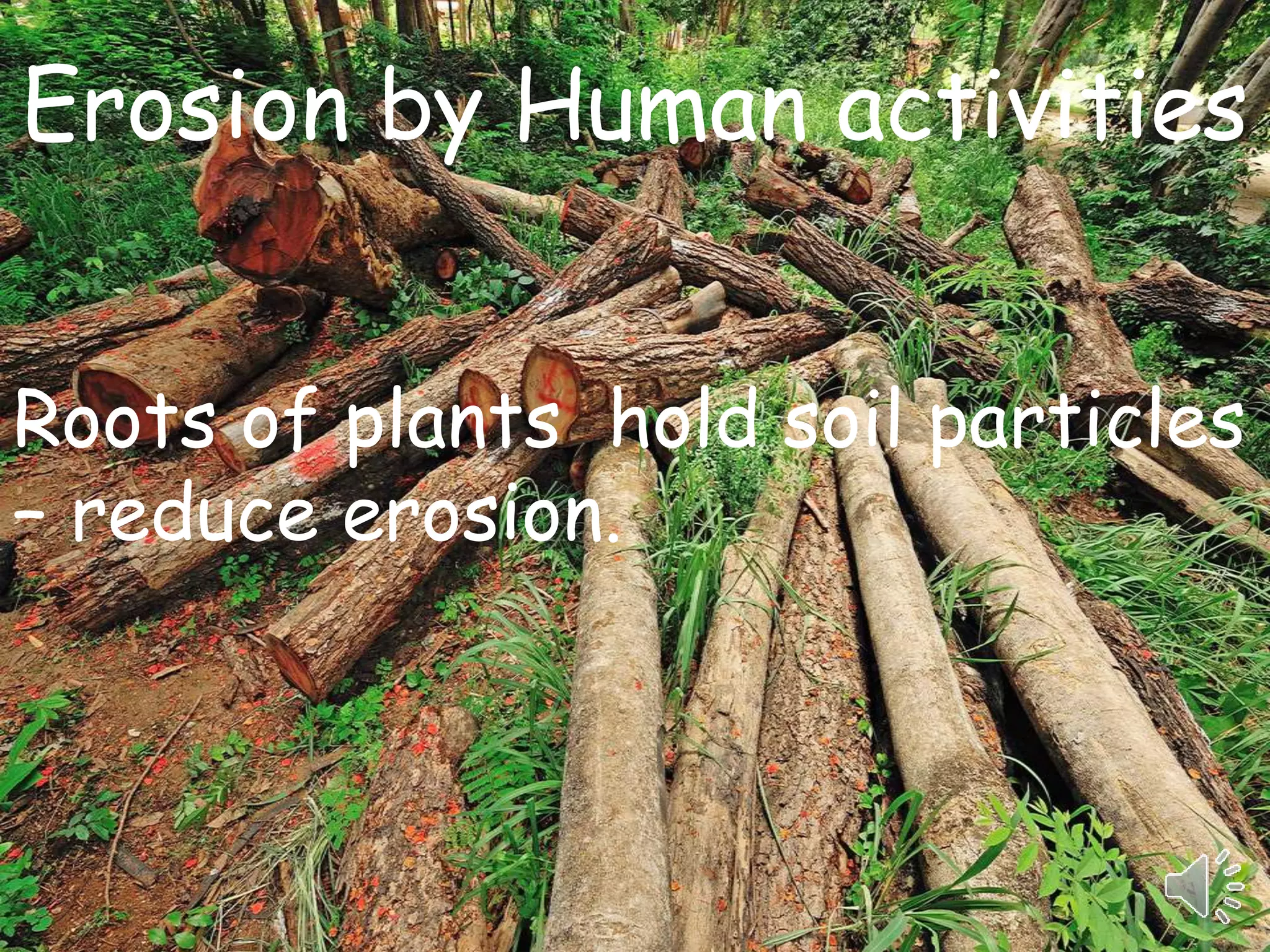 CBSE: GRADE 5 SOIL EROSION & SOIL CONSERVATION | PPTX