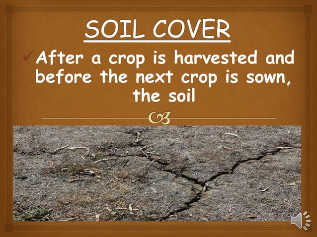 CBSE: GRADE 5 SOIL EROSION & SOIL CONSERVATION | PPTX | Gardening | Home & Garden