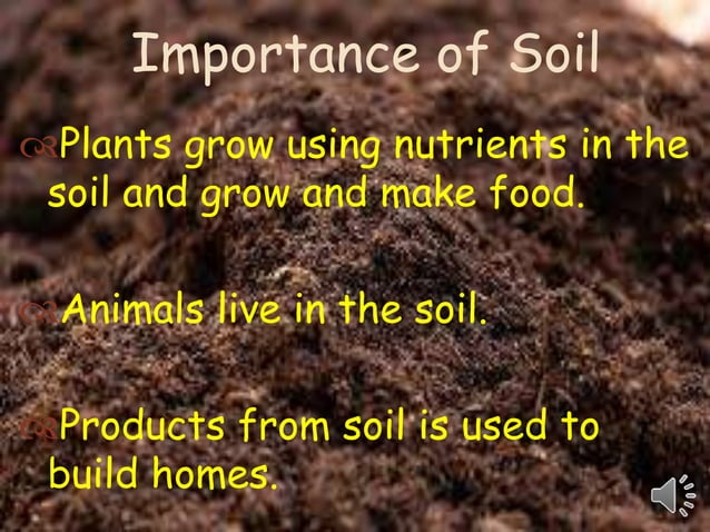 CBSE: GRADE 5 SOIL EROSION & SOIL CONSERVATION | PPTX | Gardening | Home & Garden