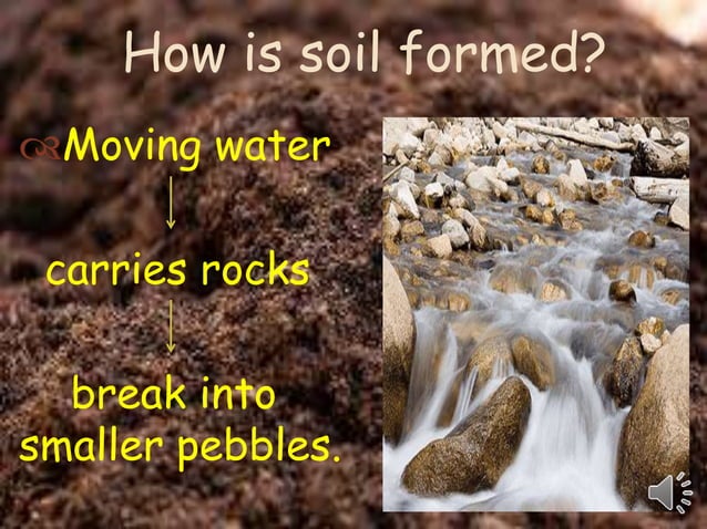 CBSE: GRADE 5 SOIL EROSION & SOIL CONSERVATION | PPTX | Gardening | Home & Garden