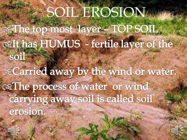 CBSE: GRADE 5 SOIL EROSION & SOIL CONSERVATION | PPTX | Gardening | Home & Garden