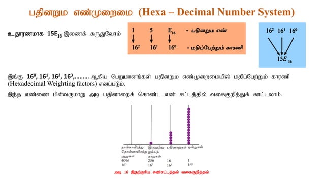 Data Representation Methods In The Computer System Ppt