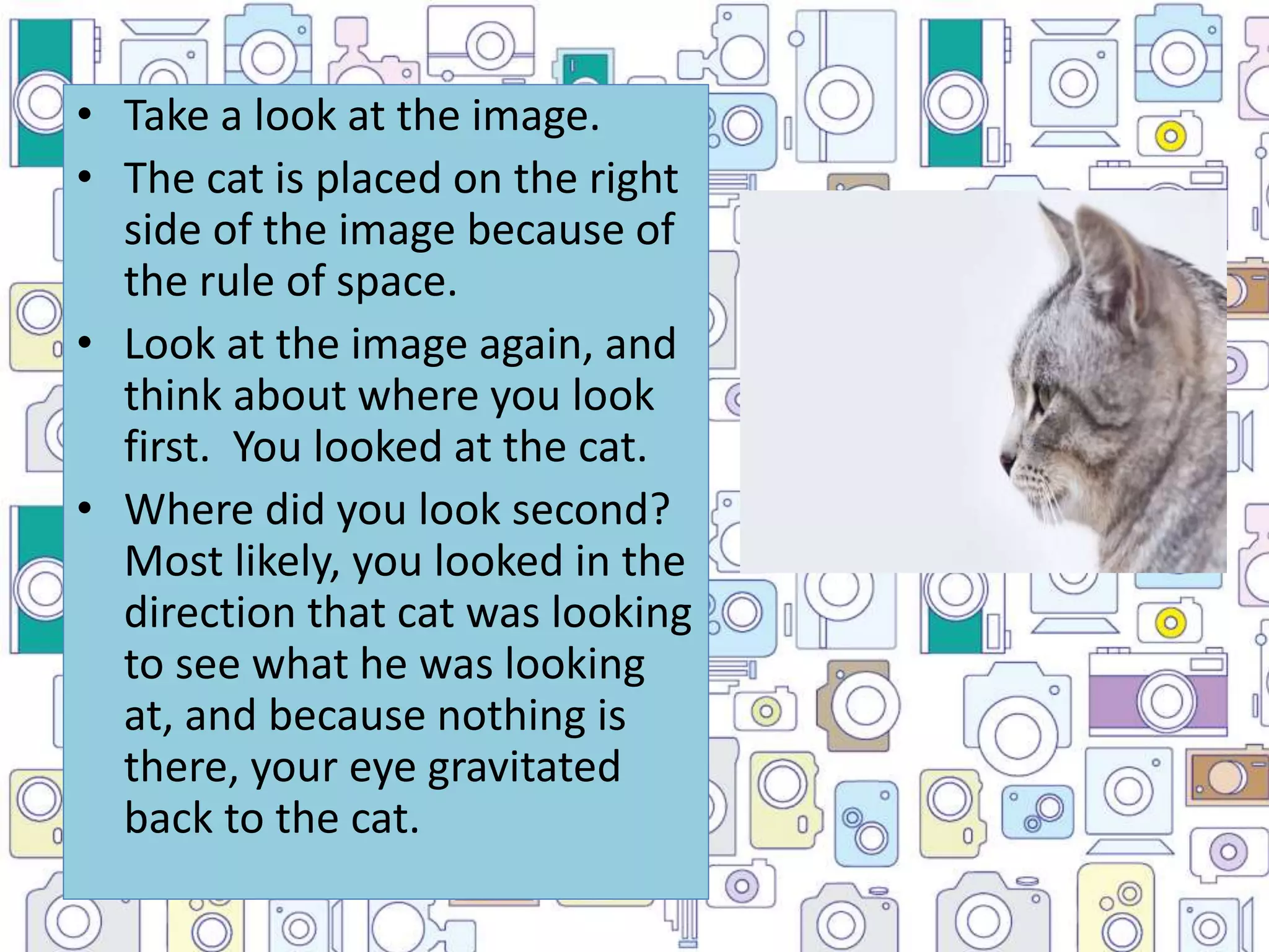 Lesson 3 photography | PPT