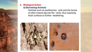 Physical Weathering | PPTX