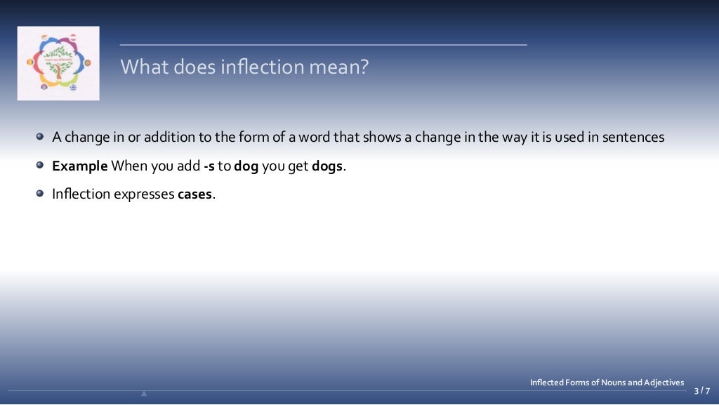 Inflected Forms of Nouns and Adjectives | PPT